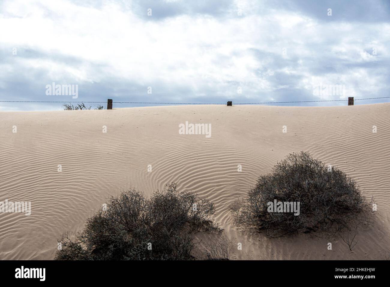 Dunes of the Sonora Desert in the Mexican state of Sonora, Mexico Stock ...