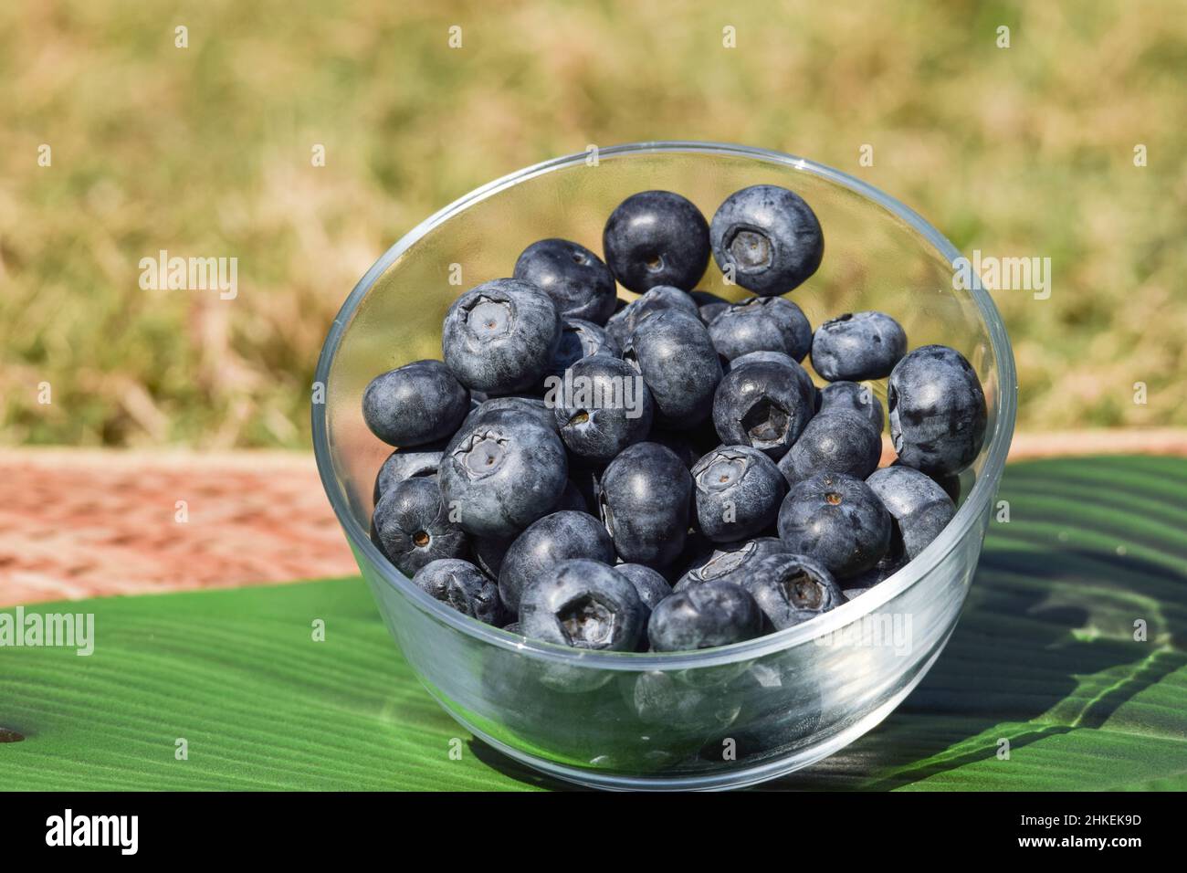 Indigo Fruits And Vegetables