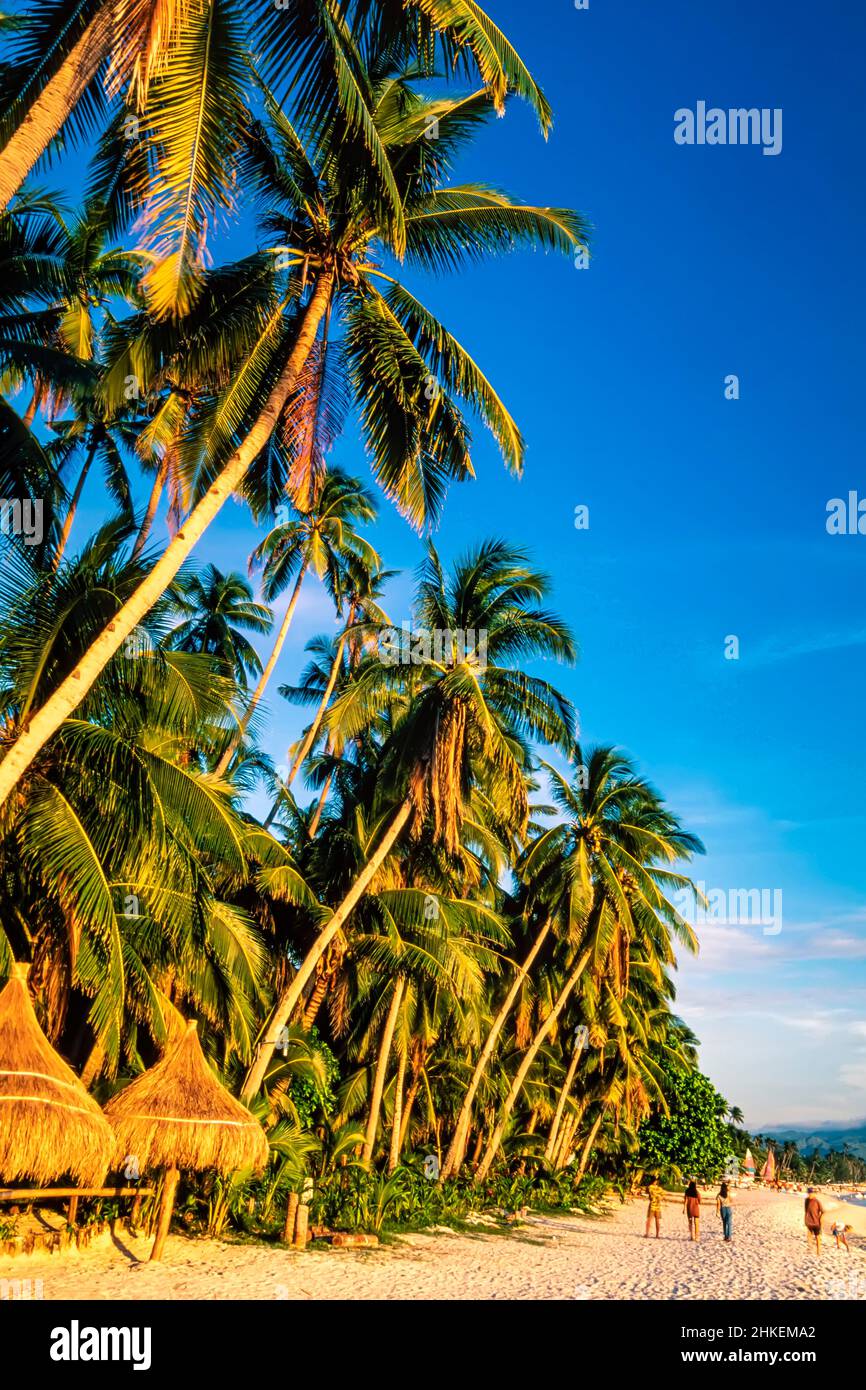 Boracay palm trees hi-res stock photography and images - Alamy