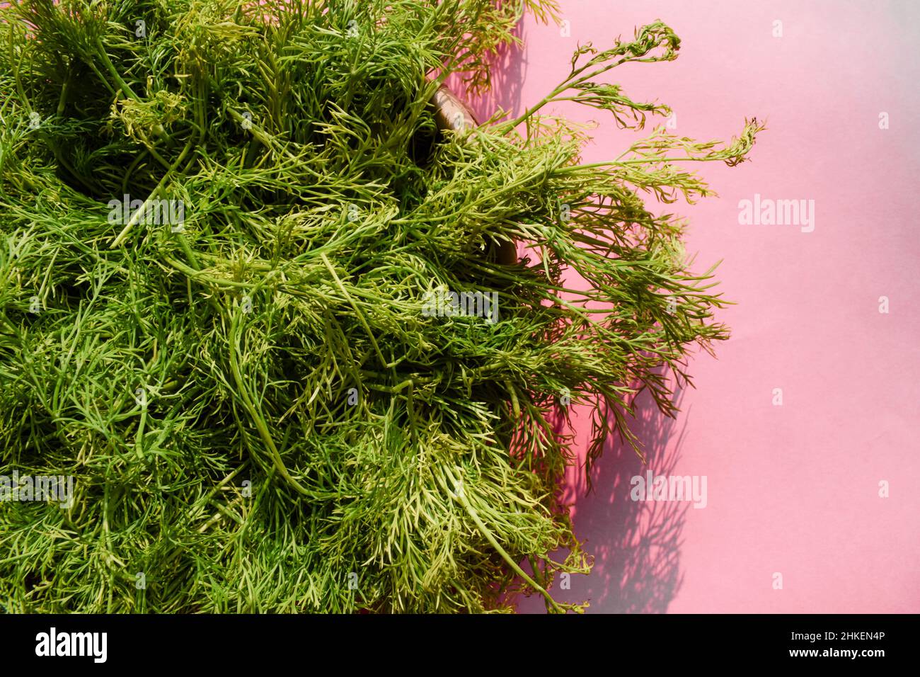 Dill green leafy vegetable, raw winter seasonal special veggie, thin ...