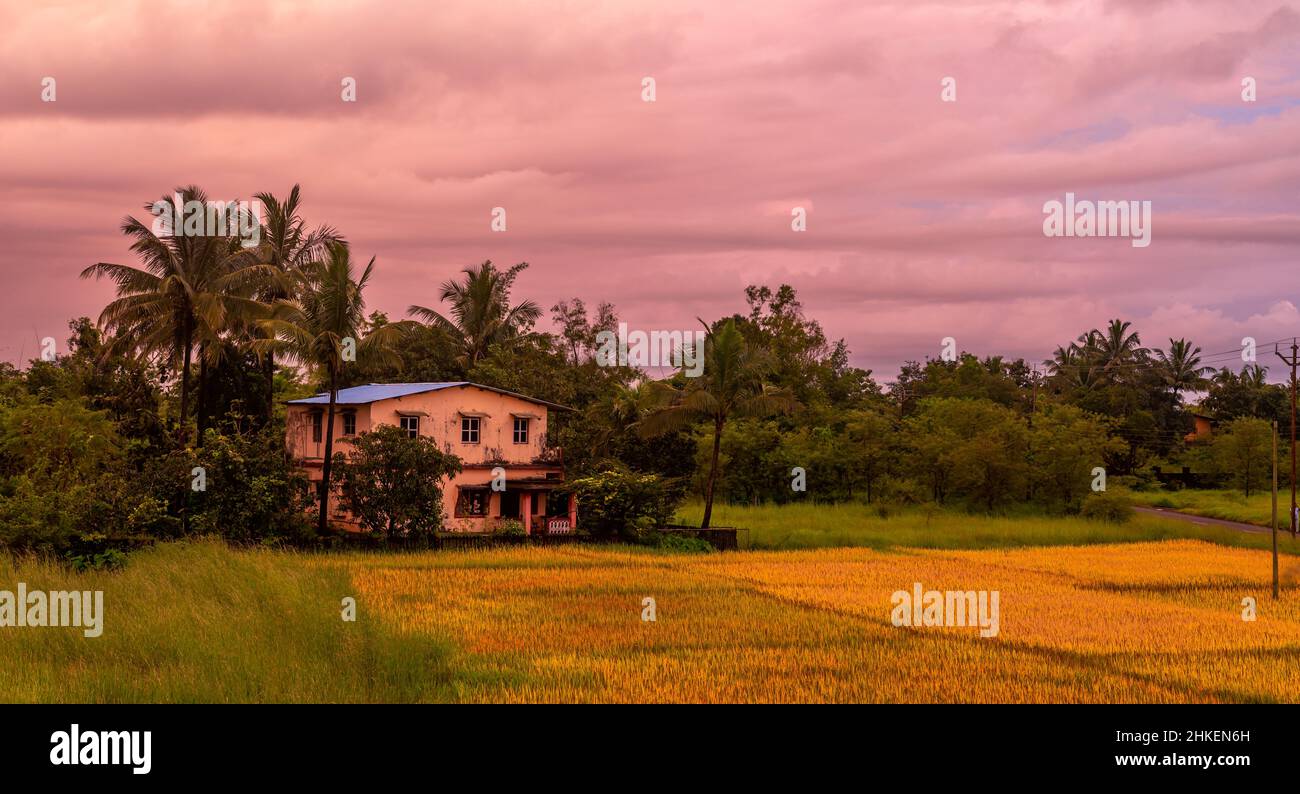 Traditional Indian village house surrounded by green grass and beatiful ...