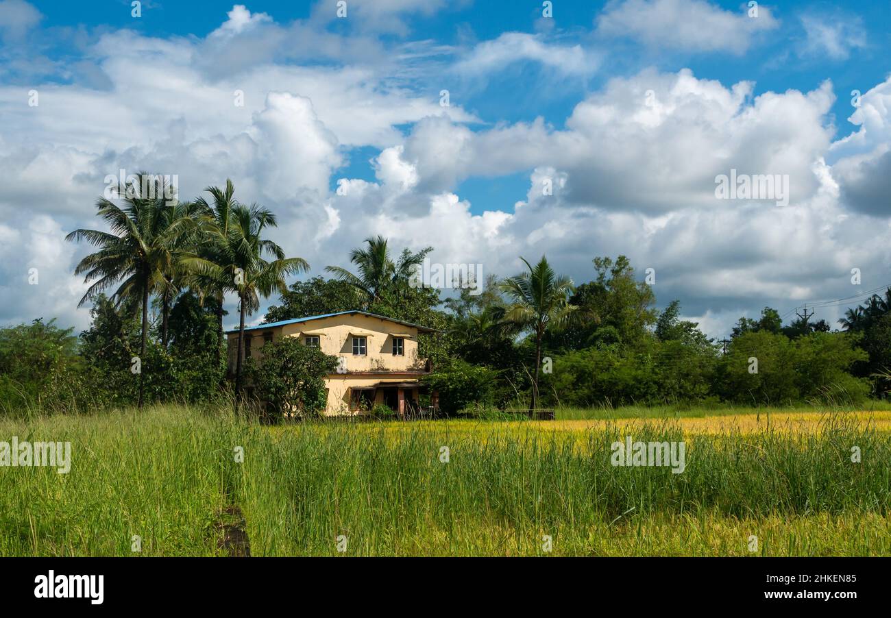 Traditional Indian village house surrounded by green grass and beatiful ...