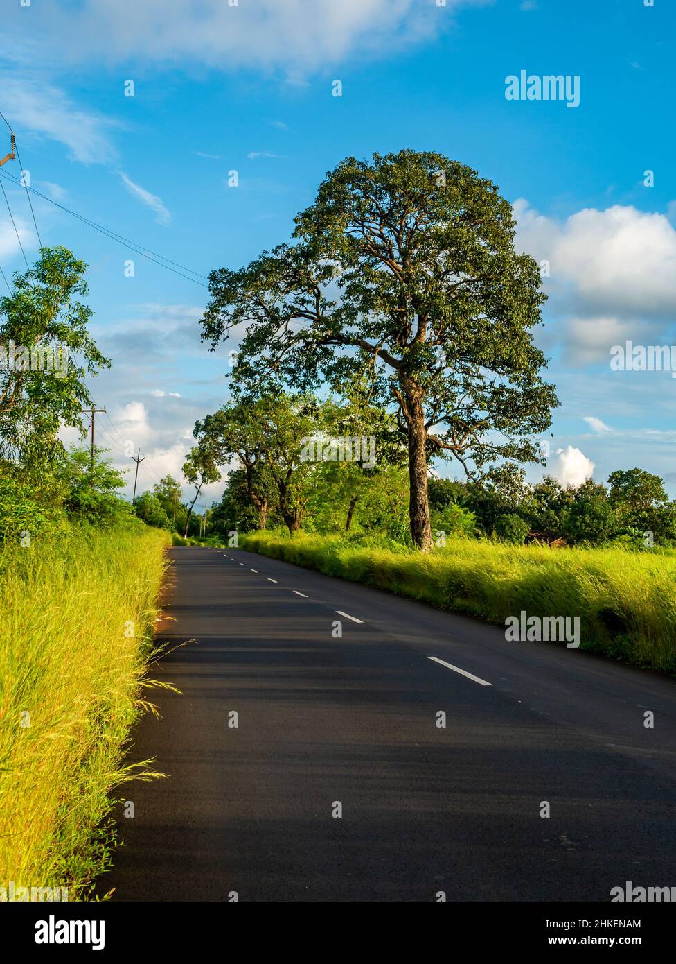 Empty road with lush green grass and trees. Rural india. Developed ...