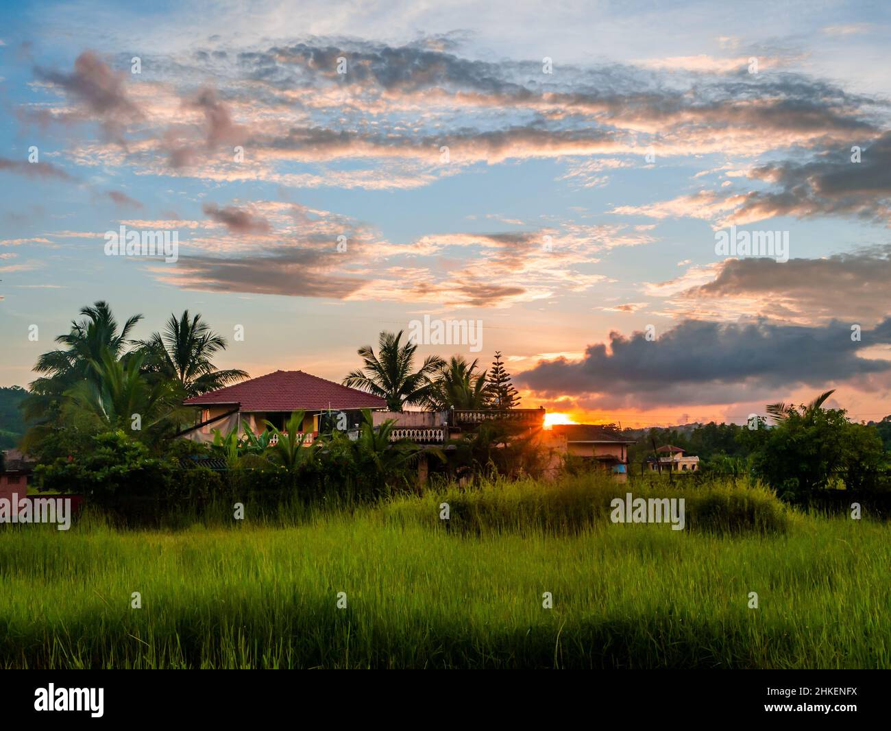 Traditional Indian village house surrounded by green grass and ... Traditional Indian village house surrounded by green grass and ...