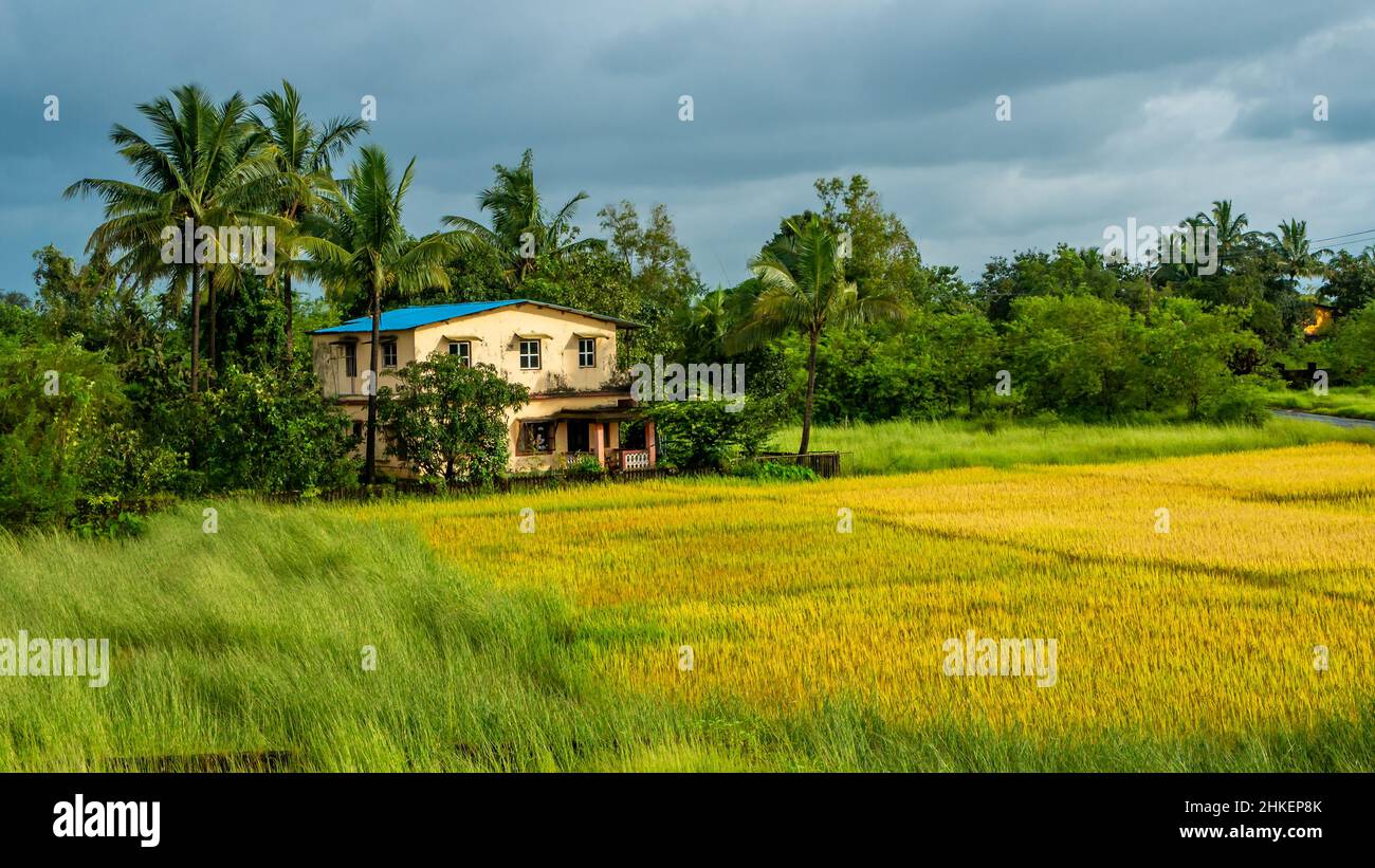 Traditional Indian village house surrounded by green grass and beatiful ...