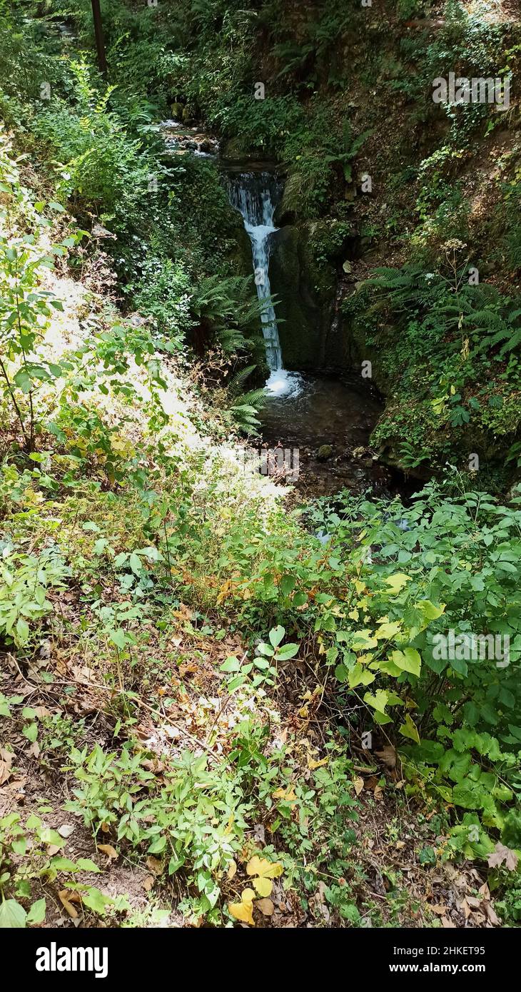 Wooden path in the forest in Megalo Chorio village Karpenisi Greece ...