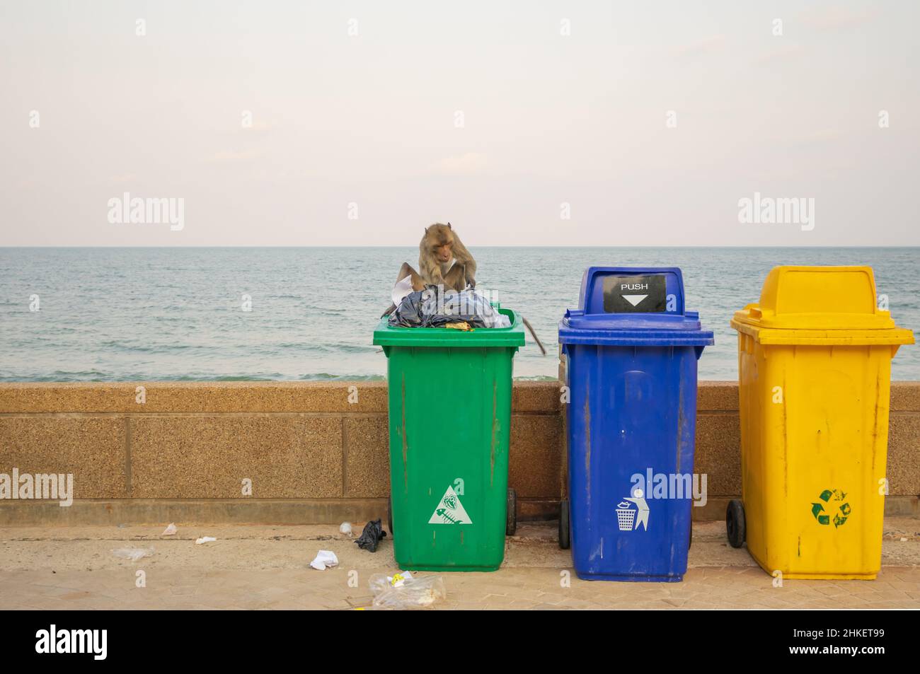The monkey throws the garbage into the container. Recycling ideas to ...