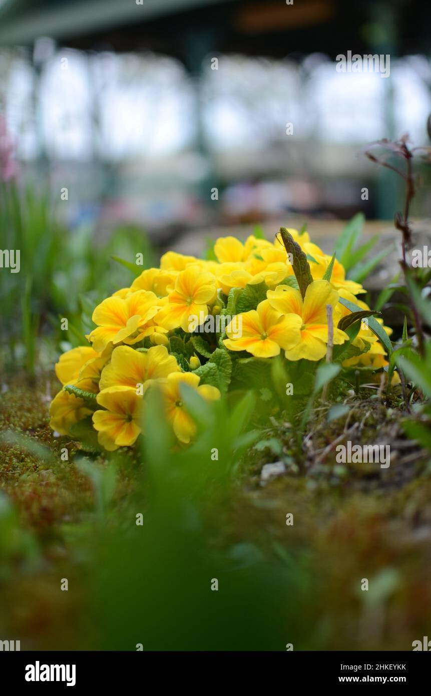 Attractivefoto hi-res stock photography and images - Alamy