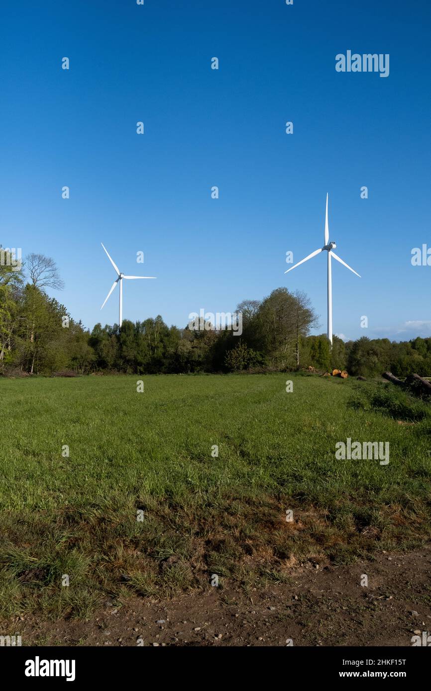 France, Brittany, Broons, Spring 2021. Illustration of daily life in ...