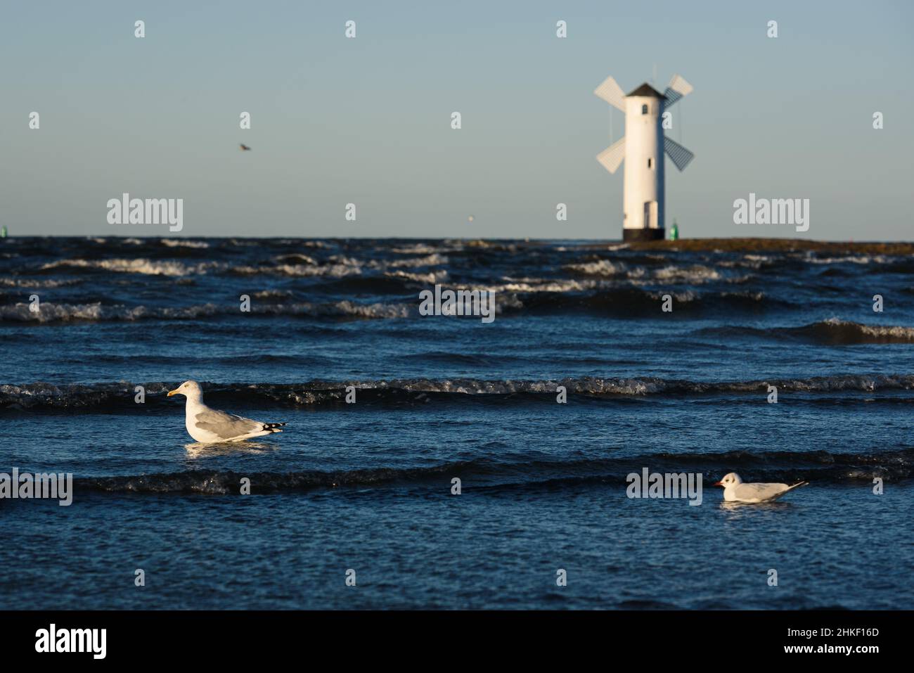 Seascape with lighthouse looks like windmill. Swinoujcie in Poland ...