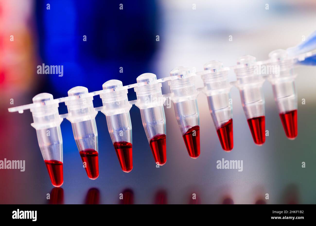 PCR Strip with genetic samples to determine paternity Stock Photo - Alamy