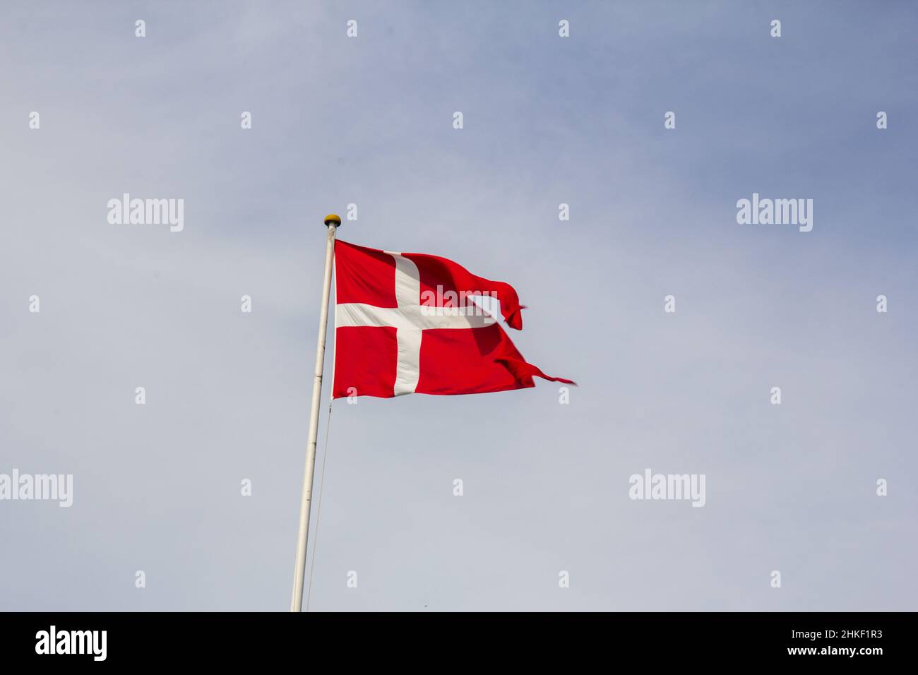 Red and white Danish flag waving in strong wind Stock Photo - Alamy