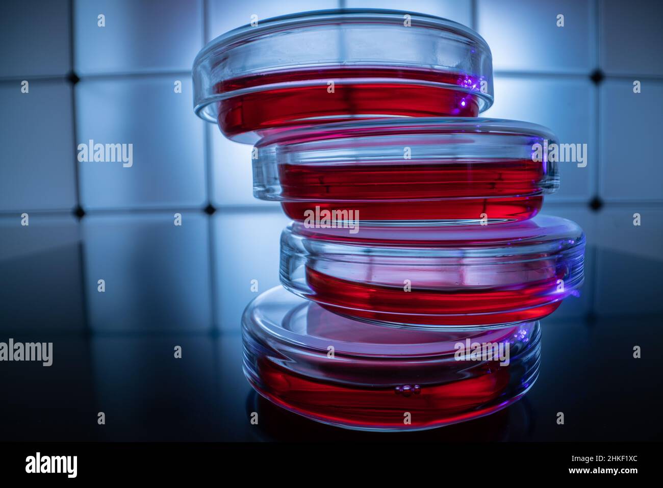 a stack of petri dishes with red liquid on a mirror table Stock Photo ...