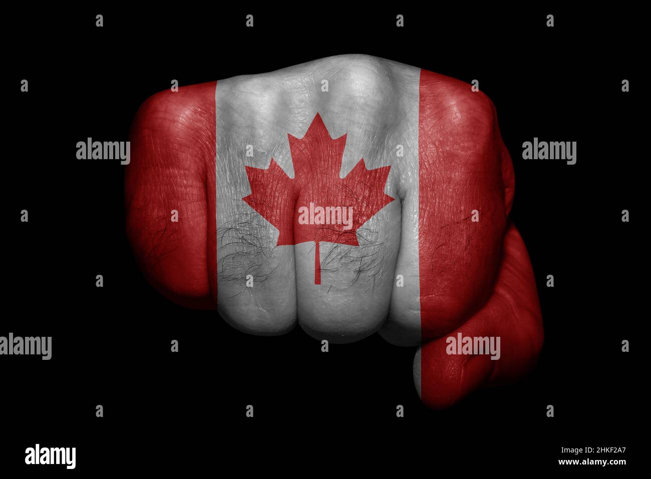 Flag of Canada painted on strong fist on black background Stock Photo ...