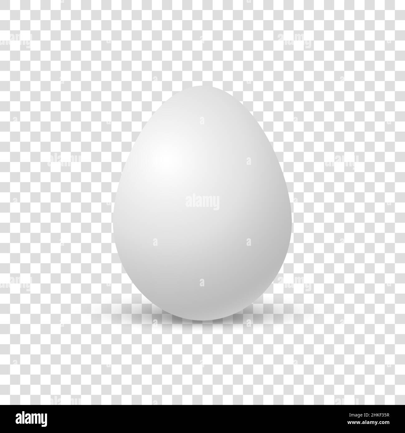 Chicken egg. Ralistic egg with soft shadow. Single realistic animal egg ...