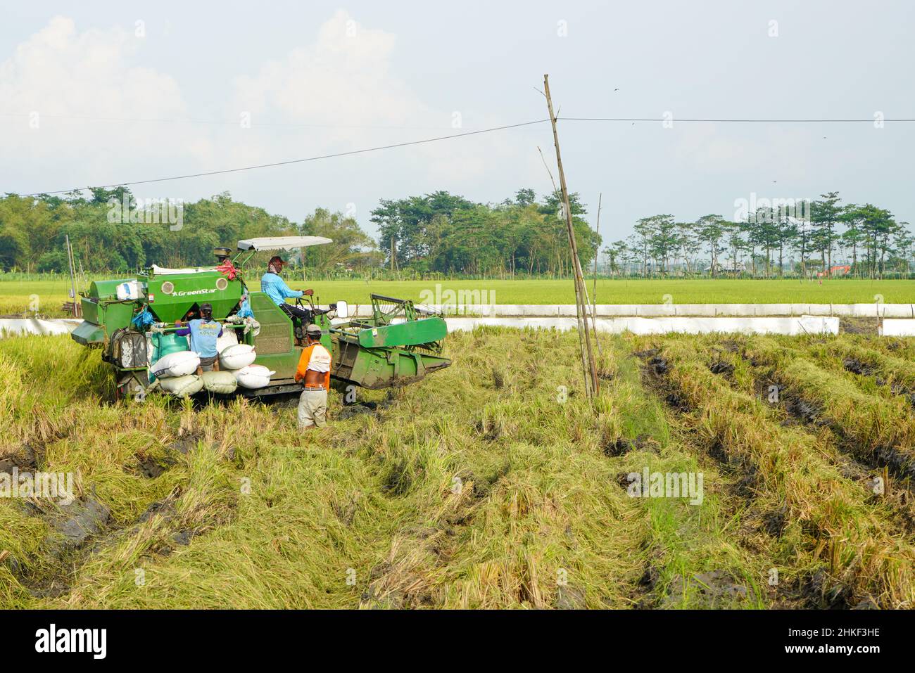 Pati, Indonesia - May, 2023 : Automatic rice harvester machine is being ...