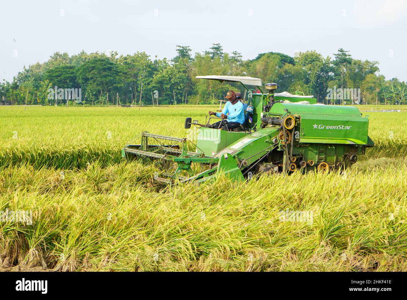 Paddy Harvester Machine