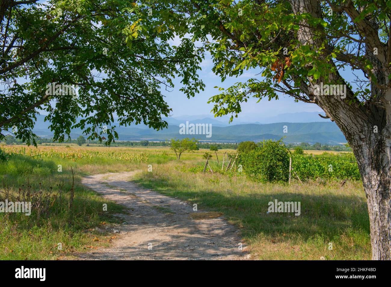 country road stretching into the distance in the fields Stock Photo - Alamy