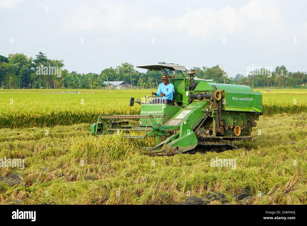 Pati, Indonesia - January, 2022 : Automatic rice harvester machine is ...