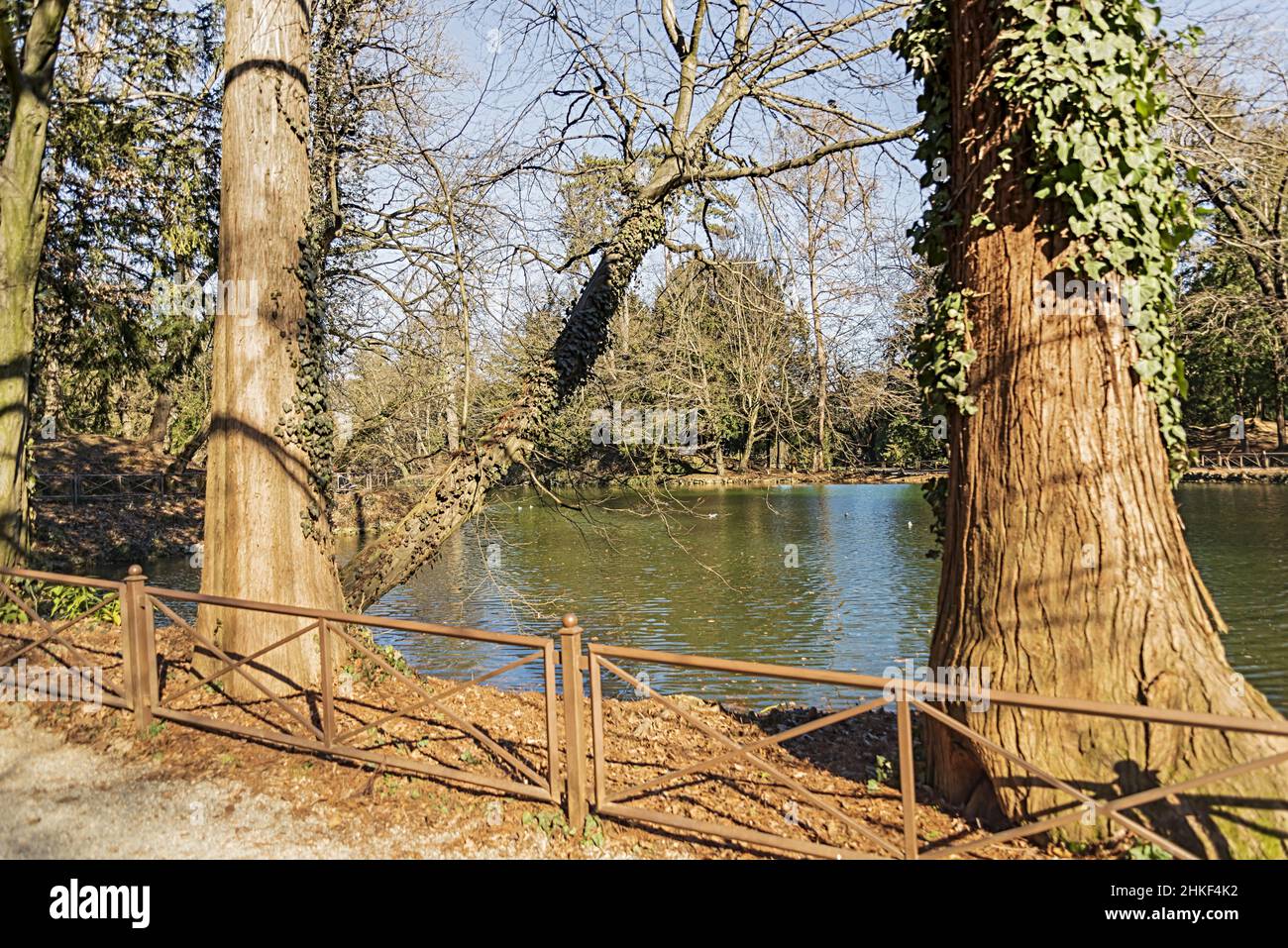 lago del parco di monza italia Stock Photo - Alamy