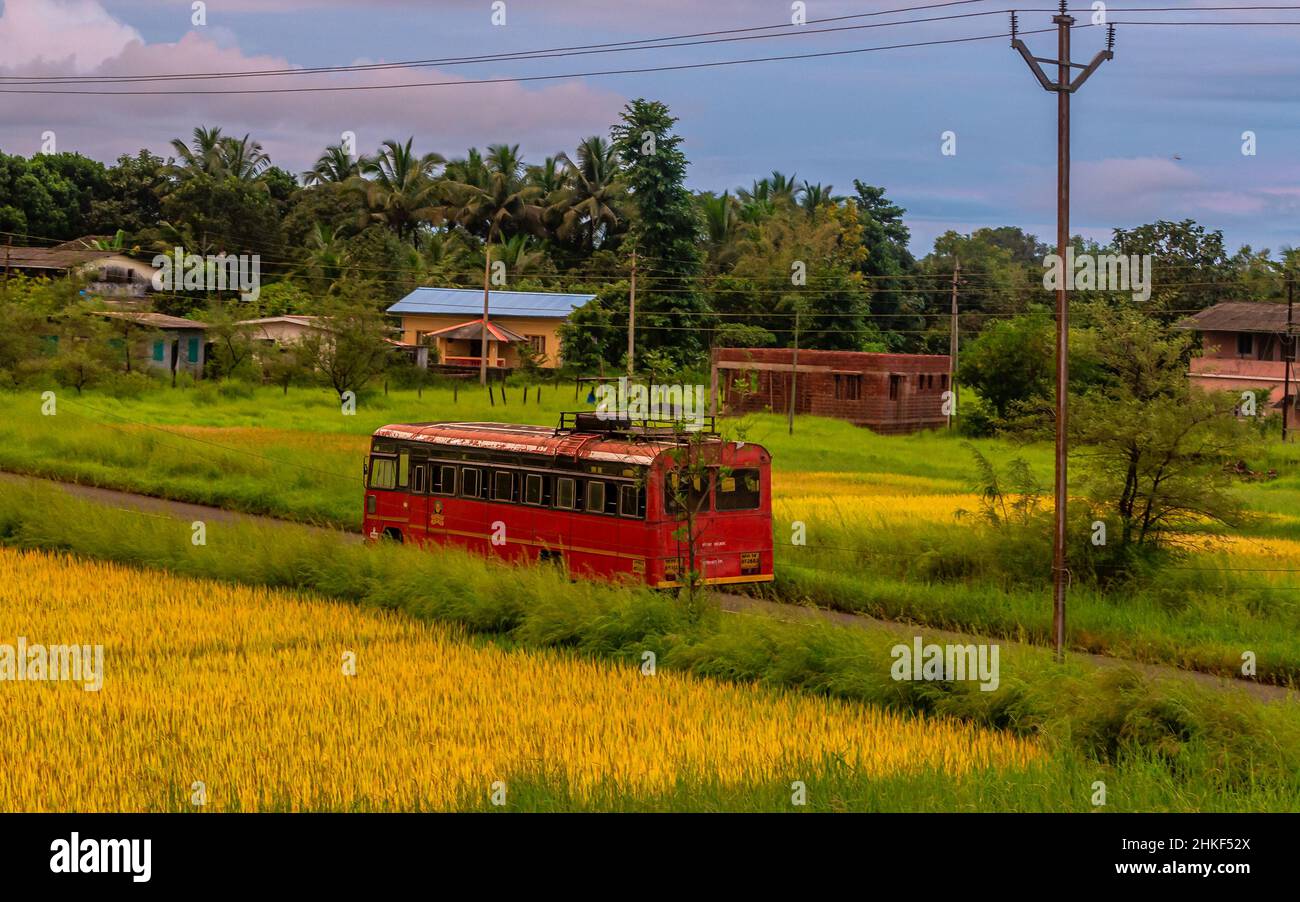 Ratnagiri, INDIA - October 9, 2021 : Red colored state transport bus ...