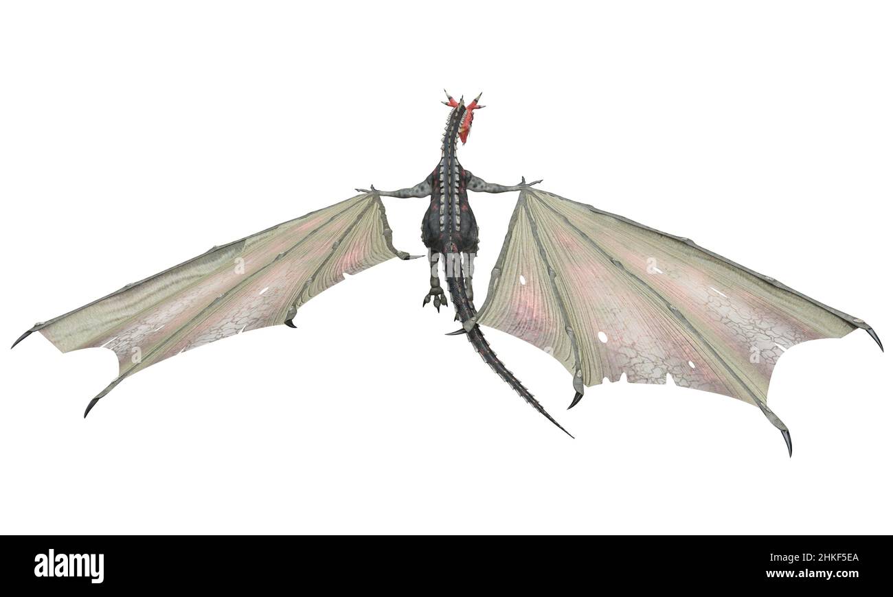 3D illustration fantasy flying dragon isolated on white Stock Photo - Alamy
