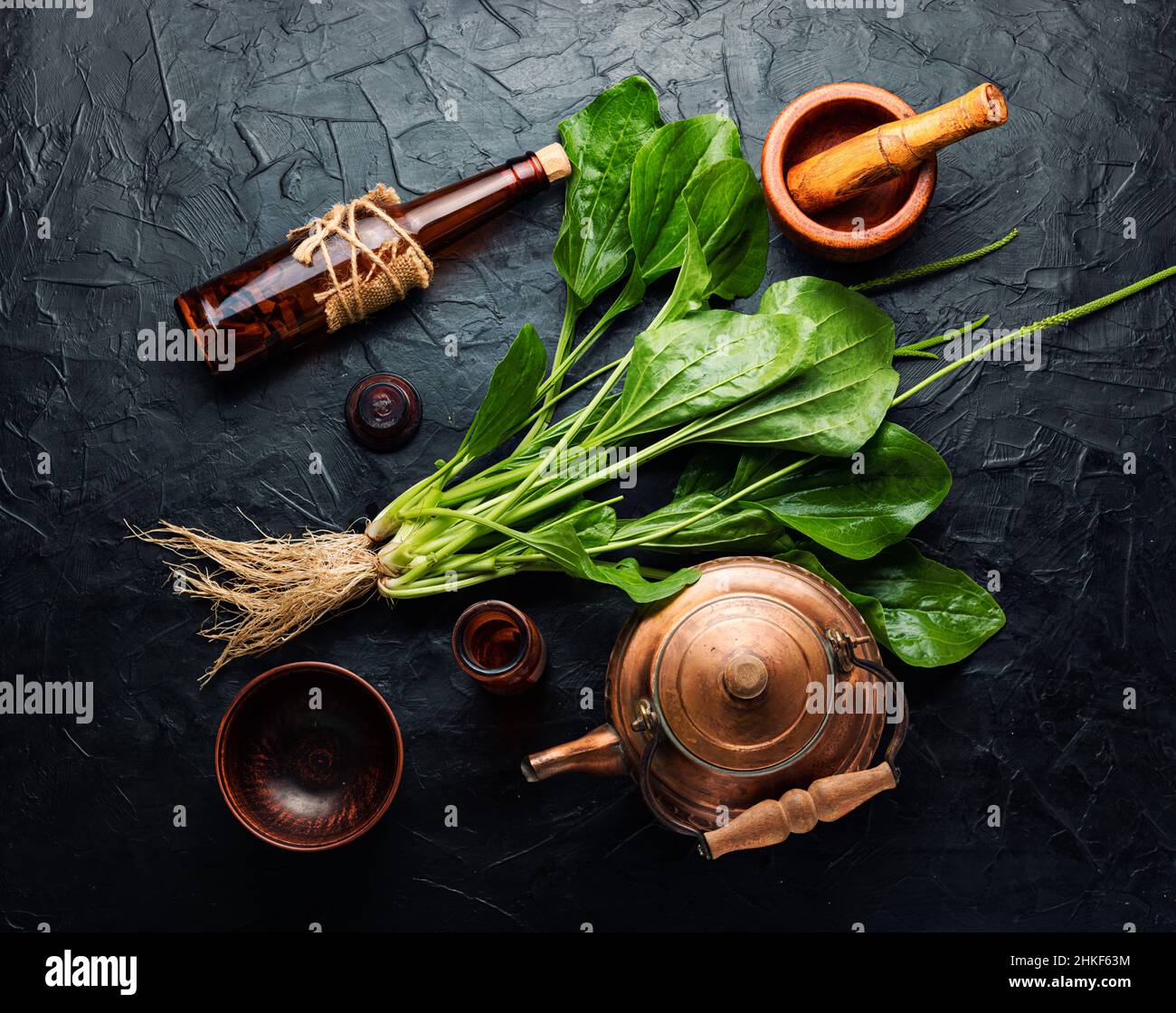 Healing plantain tea. Teapot in herbal plantain tea. Natural herbal ...