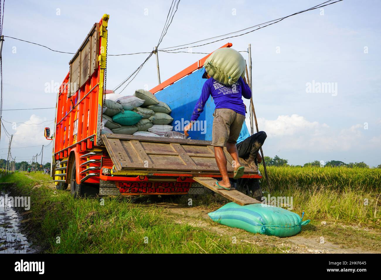 Pati, Indonesia - January, 2022 : The activities of farmers ...
