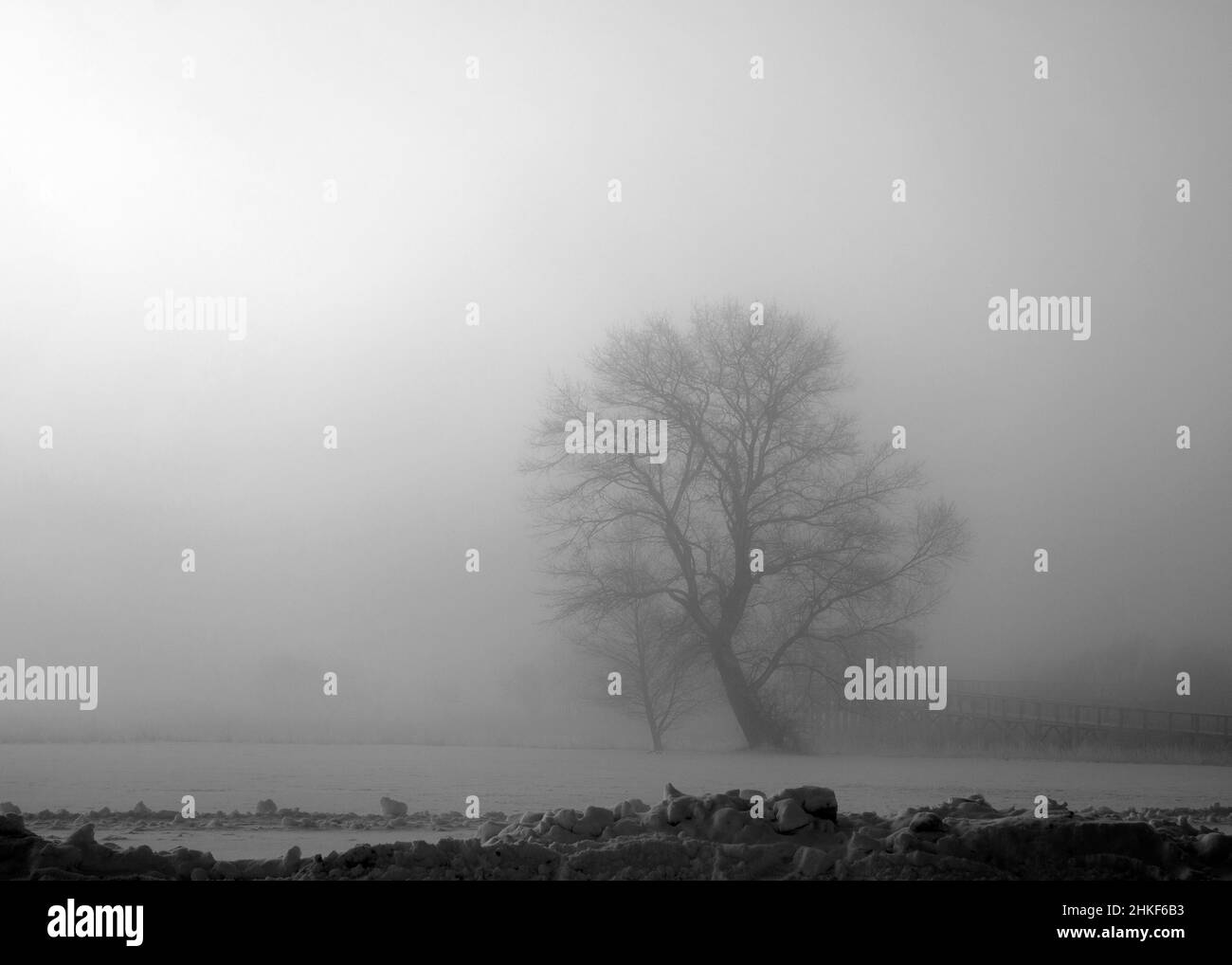 beautiful fog morning, sun through fog, silhouettes of trees and ...