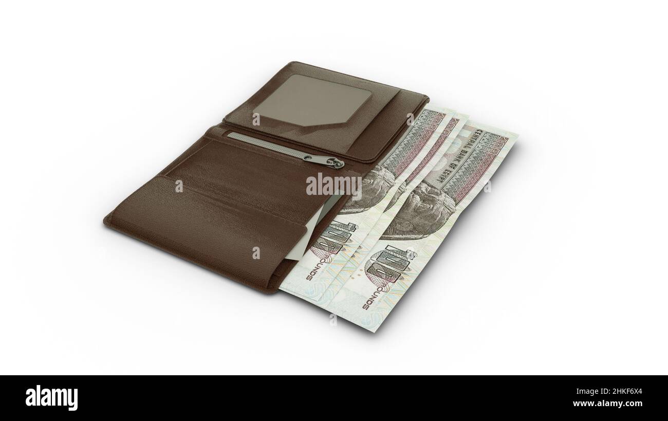 3D rendering of Egyptian pound notes in wallet Stock Photo - Alamy