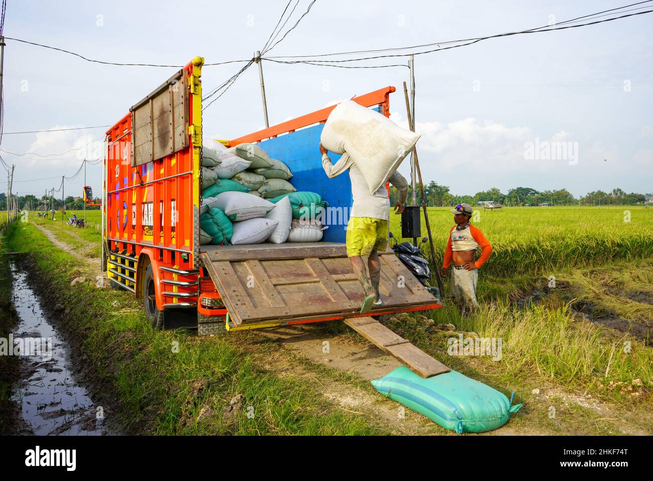 Pati, Indonesia - January, 2022 : The activities of farmers ...