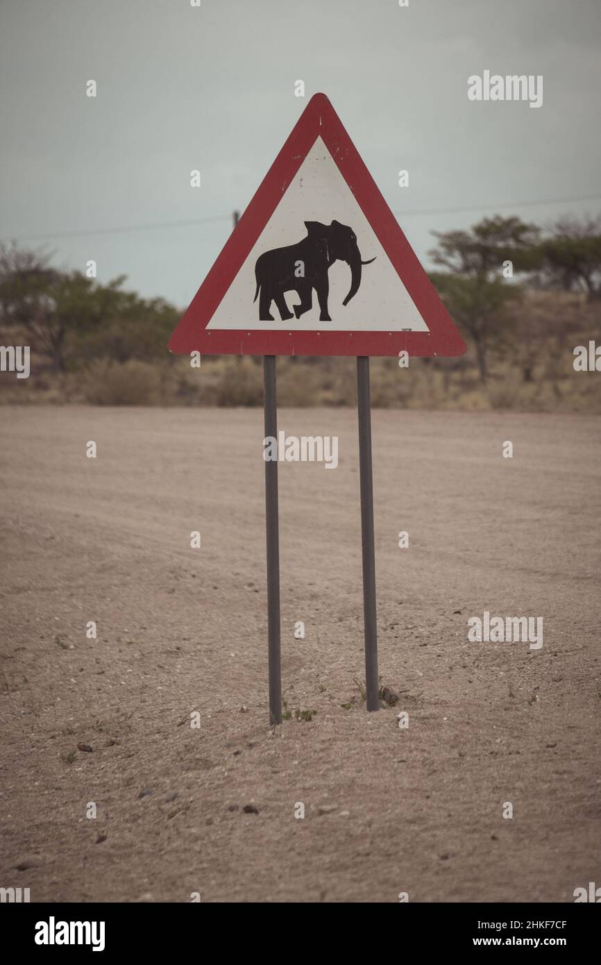 Elephant road sign warning Stock Photo - Alamy