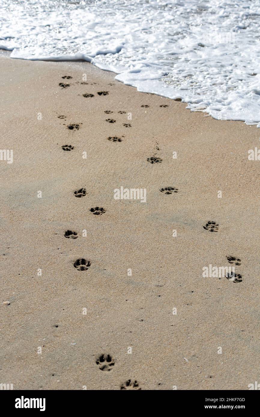 Brown prints hi-res stock photography and images - Alamy