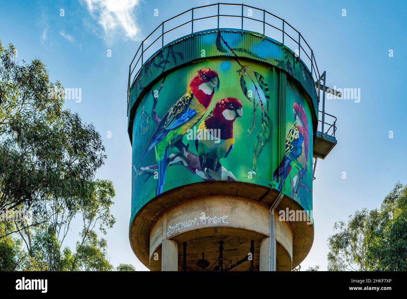 Eastern Rosella Water Tower Art, Milbrulong, NSW, Australia Stock Photo ...
