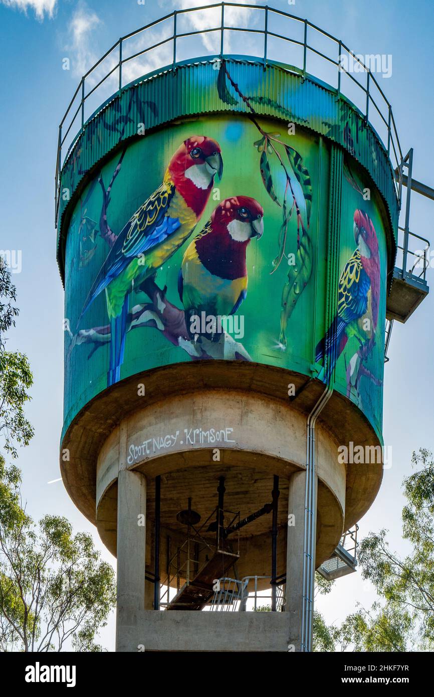 Eastern Rosella Water Tower Art, Milbrulong, NSW, Australia Stock Photo ...