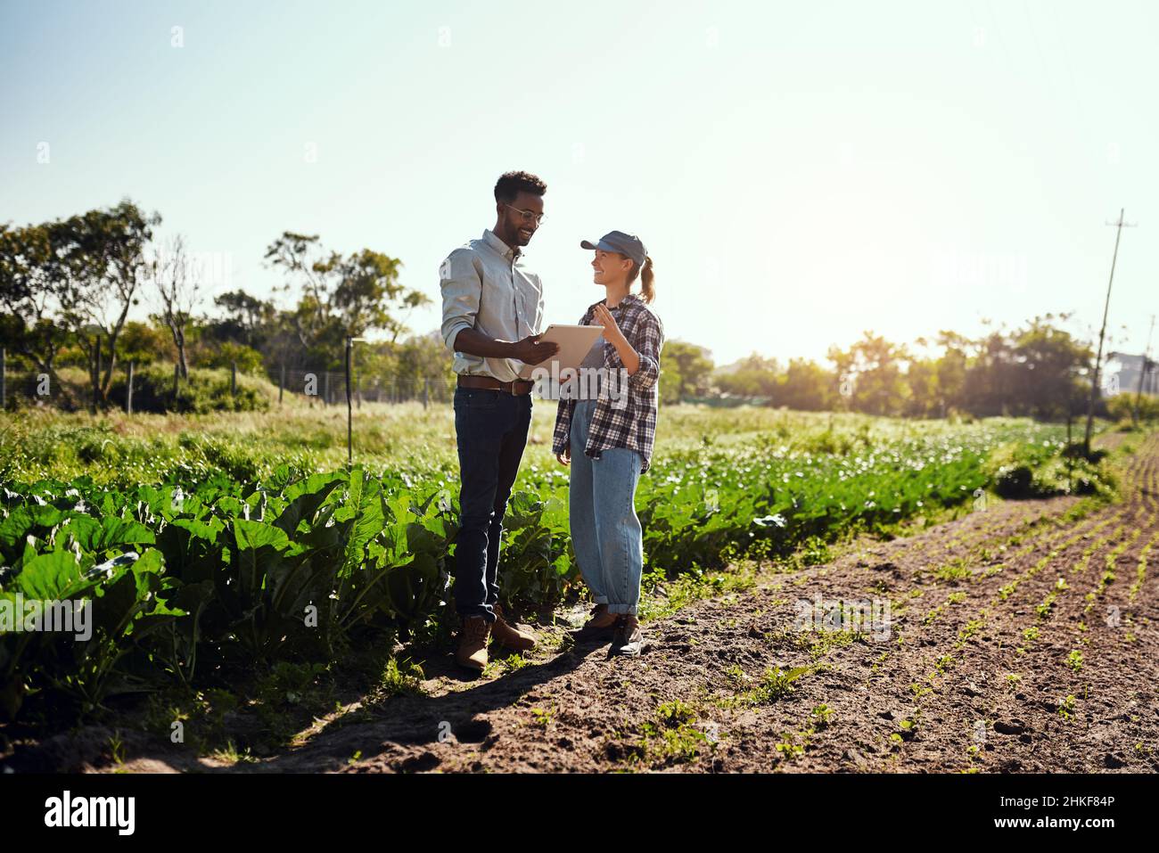 Green only way go hi-res stock photography and images - Alamy