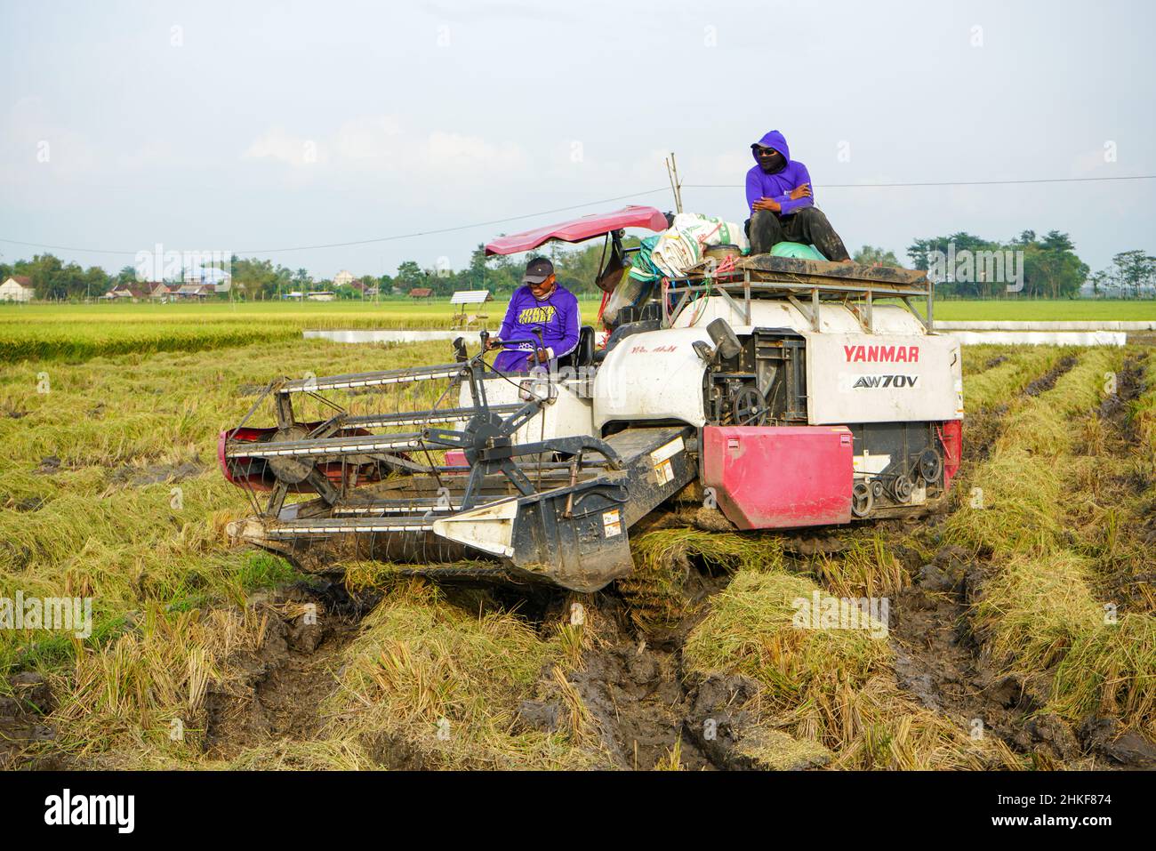Pati, Indonesia - January, 2022 : Automatic rice harvester machine is ...