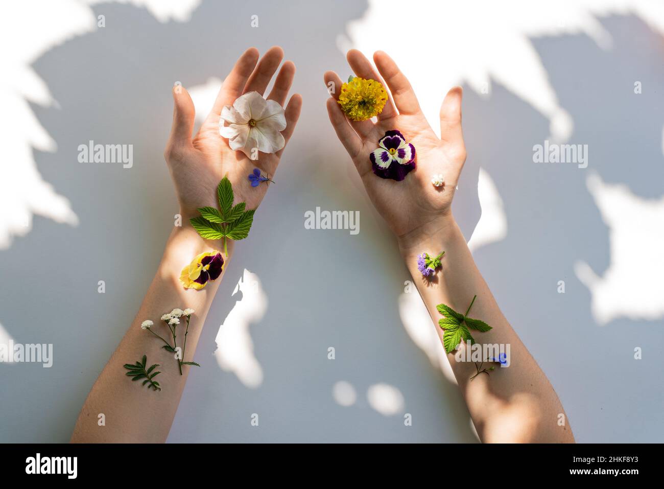 top view women's hands with multicolored flowers on white table with ...