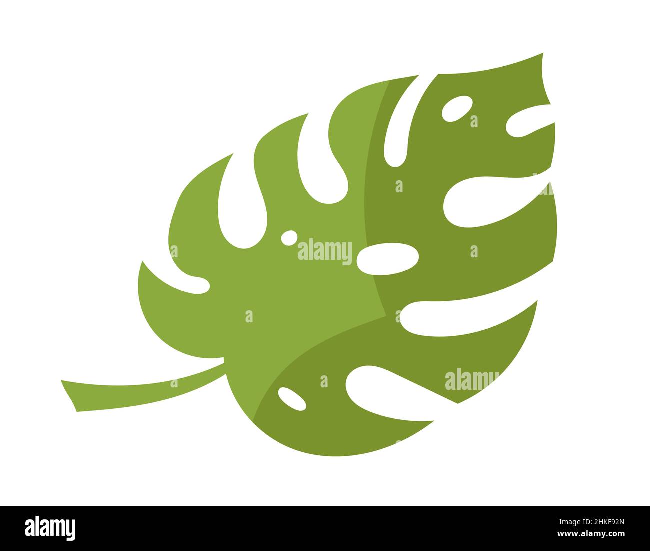 Leaf exotic plant in Cut Out Stock Images & Pictures - Alamy