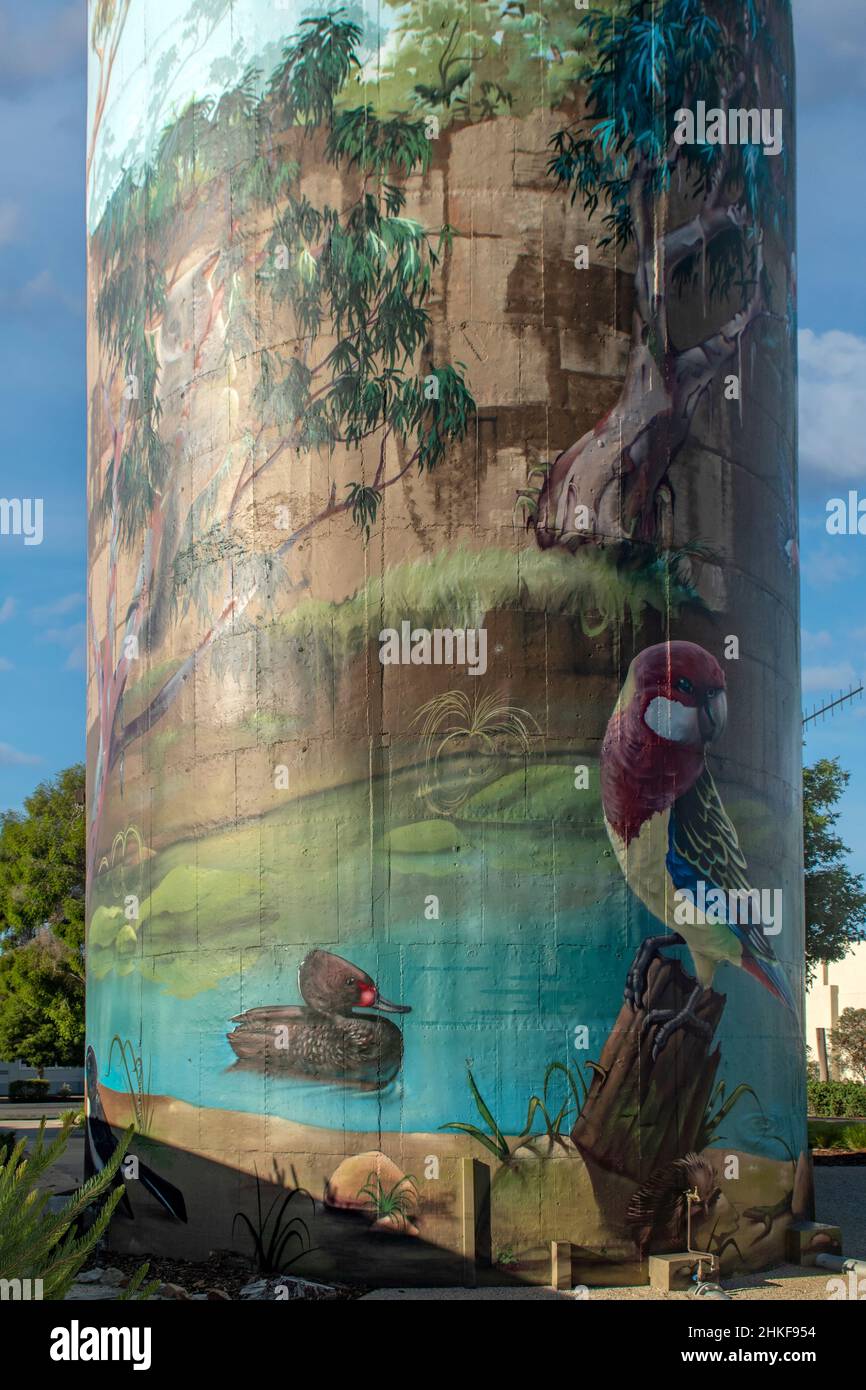 Water Tower Art, Lockhart, NSW, Australia Stock Photo - Alamy