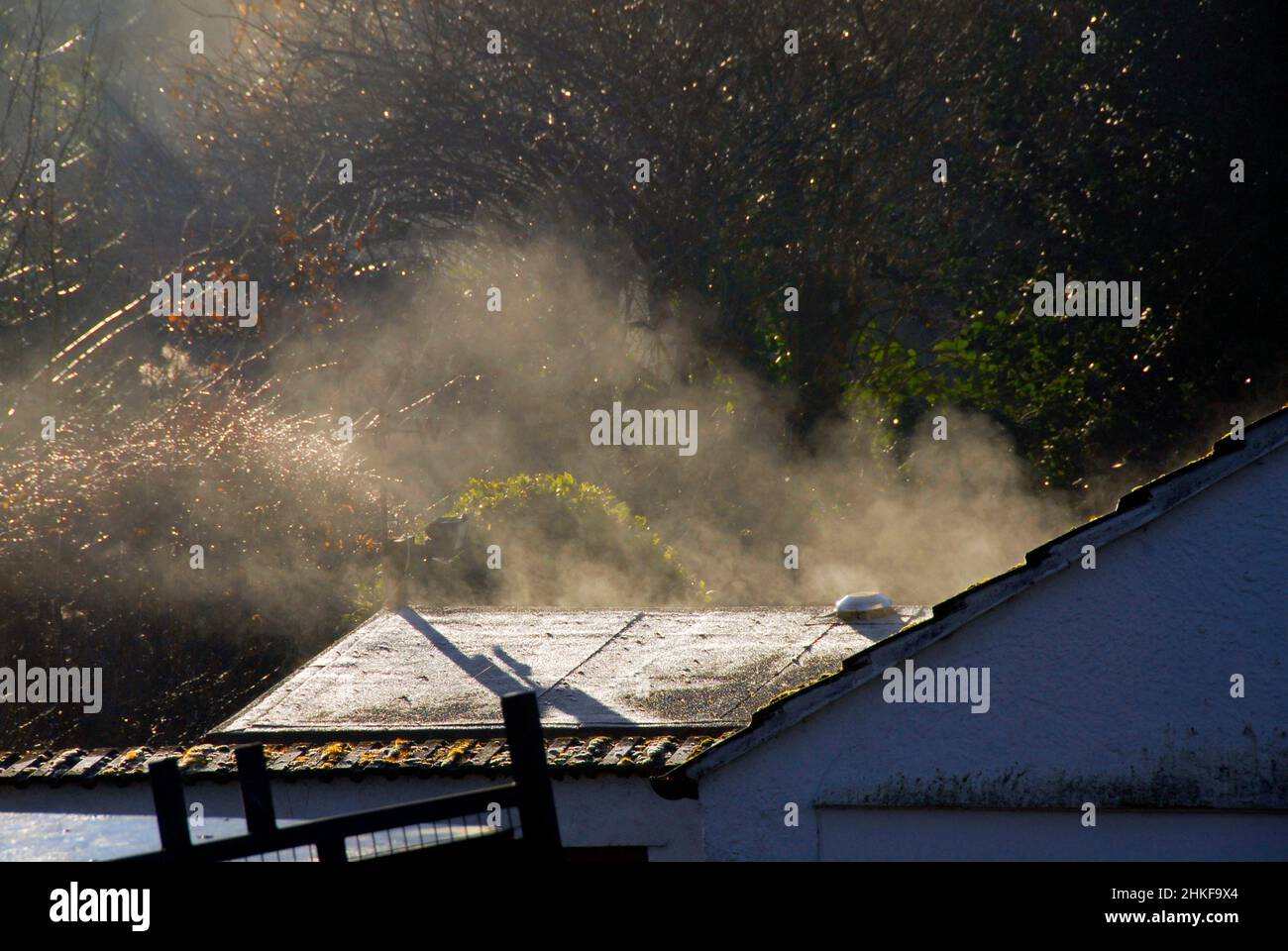 Mist caused by early morning sun shining on overnight frost in winter ...