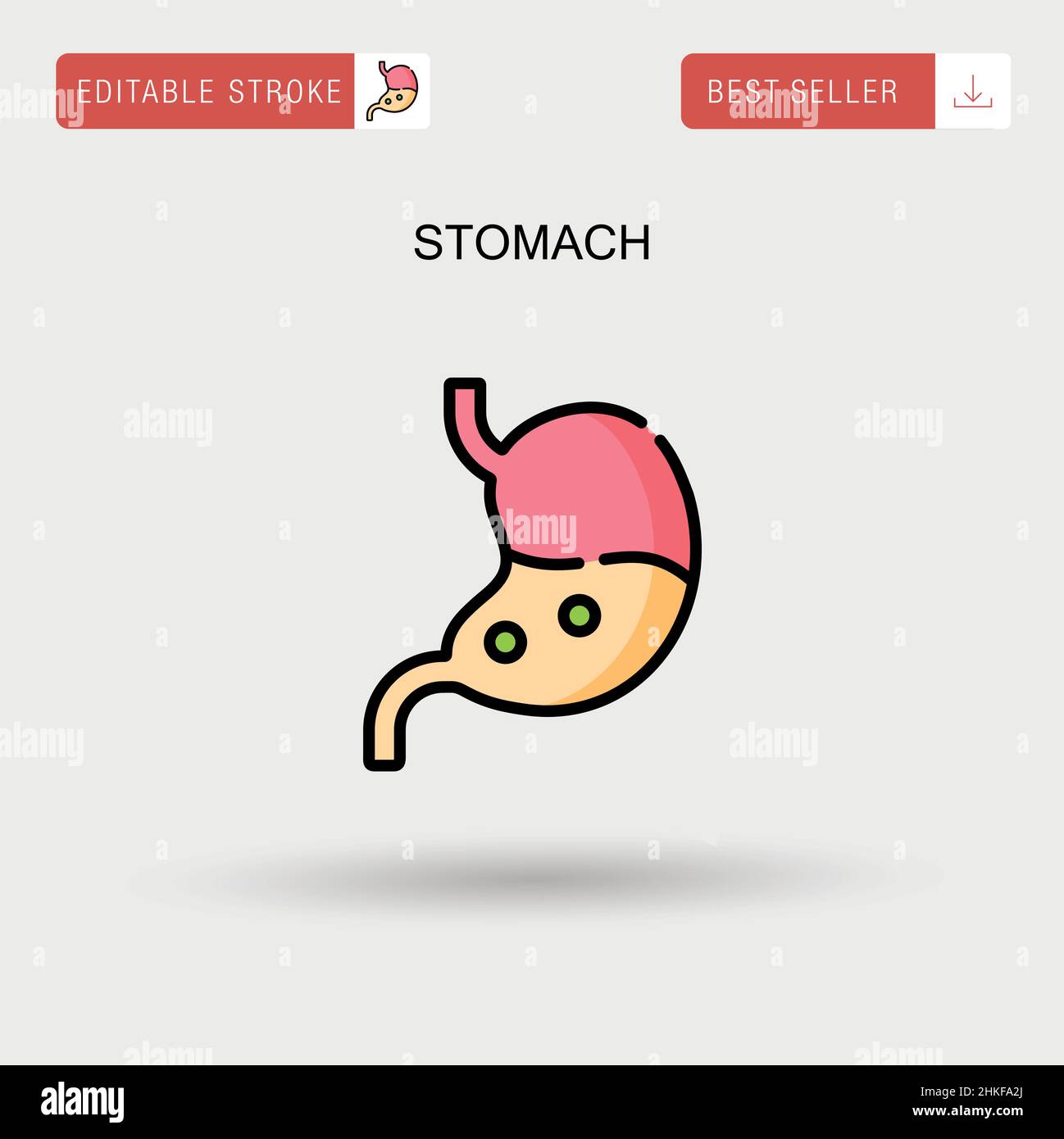 Stomach Simple vector icon Stock Vector Image & Art - Alamy