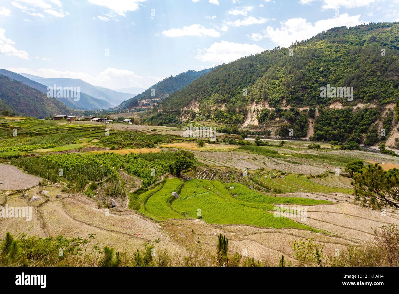 Rural scenery with rice fields in a valley near Punakha in Central ...