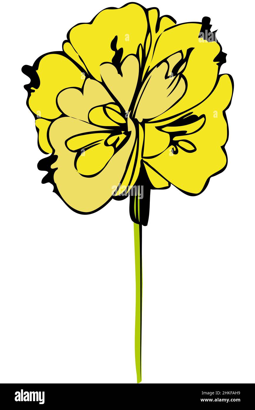 a vector sketch abstract flower yellow color Stock Photo - Alamy