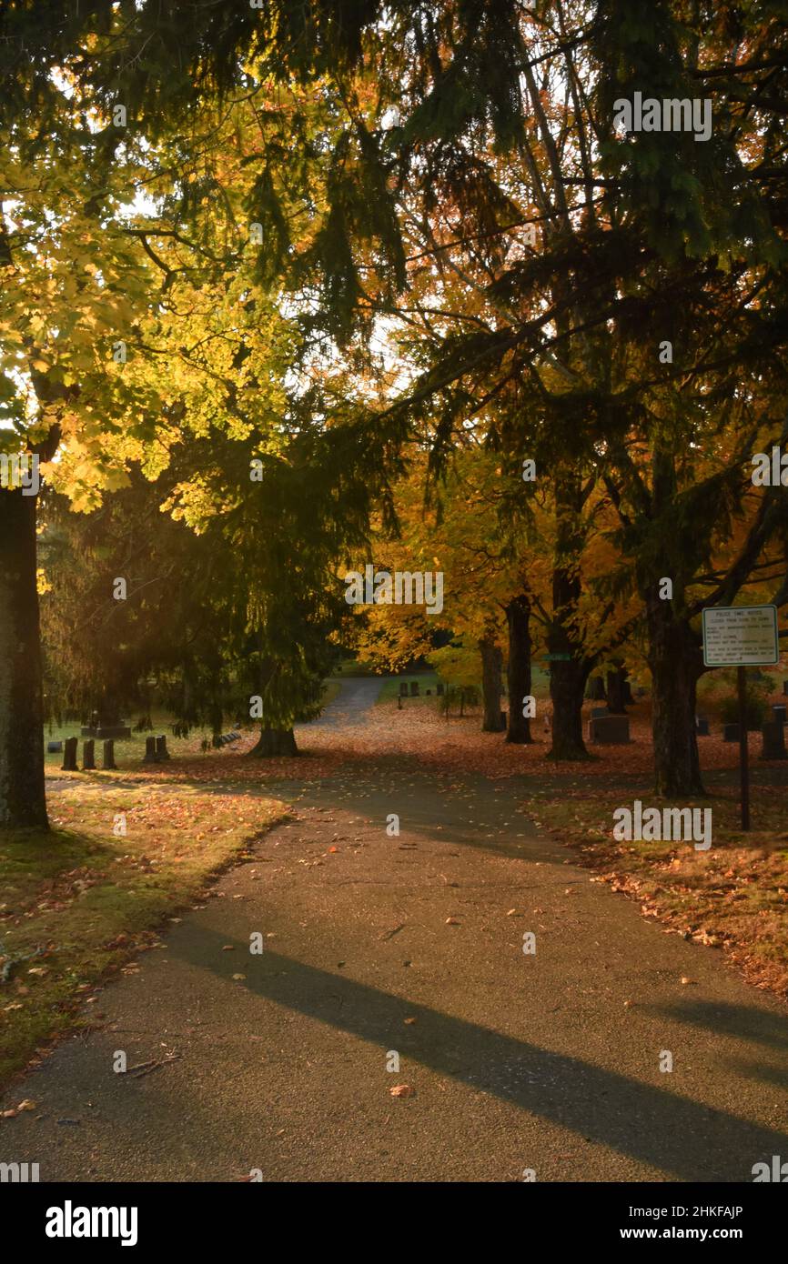 Road in cemetery lined with colorful foliage during autumn in New ...
