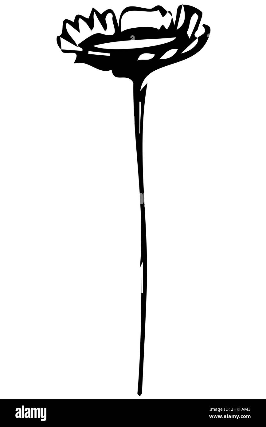 Engraved field flora Black and White Stock Photos & Images - Alamy