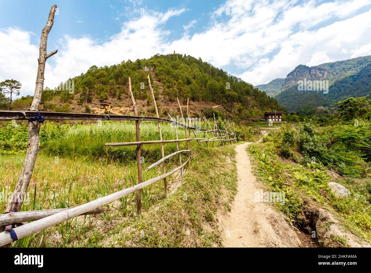 Rural scenery with rice fields in a valley near Punakha in Central ...