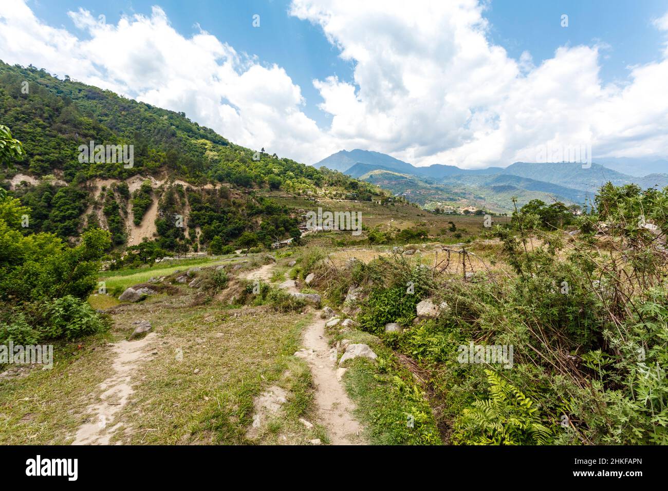 Rural scenery with rice fields in a valley near Punakha in Central ...