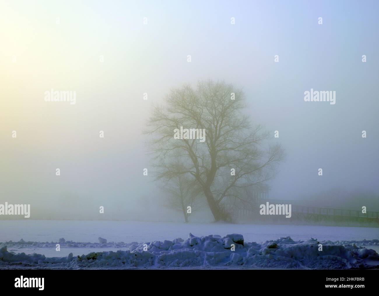 beautiful fog morning, sun through fog, silhouettes of trees and ...