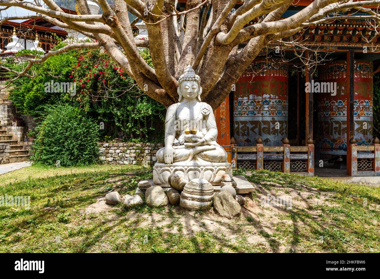 Buddha under bodhi tree hi-res stock photography and images - Alamy